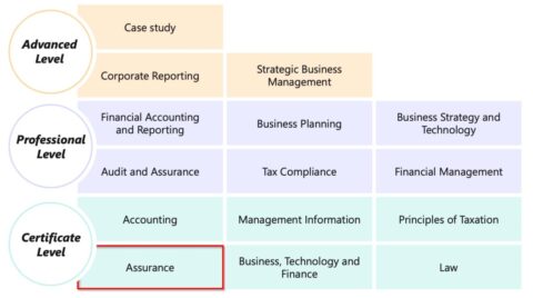 How To Pass The ICAEW ACA Assurance Exam | The Progression Playbook