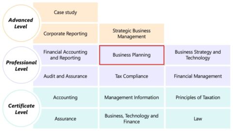 How To Pass The ICAEW ACA Business Planning Exam | The Progression Playbook